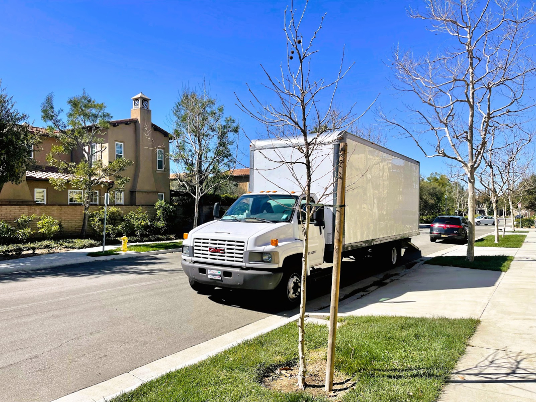 Smart Moving How To Simplify Your Relocation